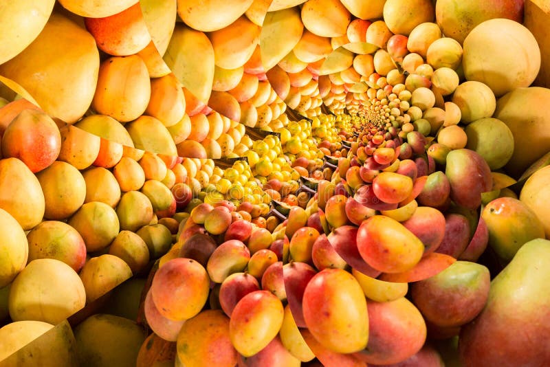 Mango feast stock image. Image of creative, abstract - 38217353