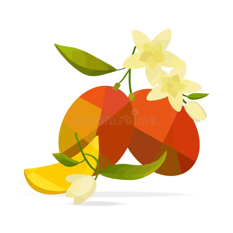 Mango Tree Flower Stock Illustrations – 456 Mango Tree Flower Stock ...