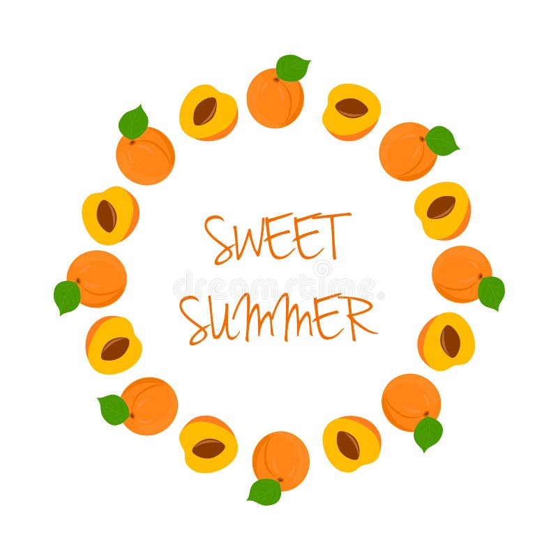 Mango Frame with an Inscription. Stock Vector - Illustration of frame ...