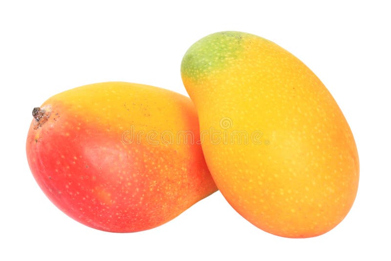 Mango fresco imagen de archivo. Imagen de fresco, vegetariano - 39921363