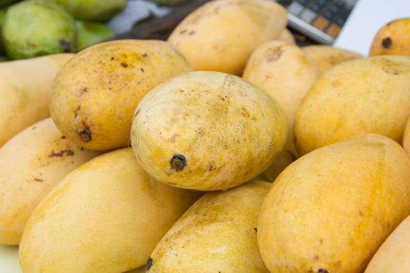 Mango fresco foto de archivo. Imagen de fresco, agricultura - 94114334