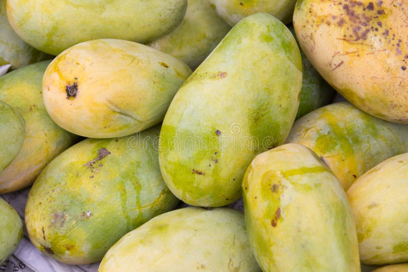 Mango fresco foto de archivo. Imagen de fresco, agricultura - 94114334