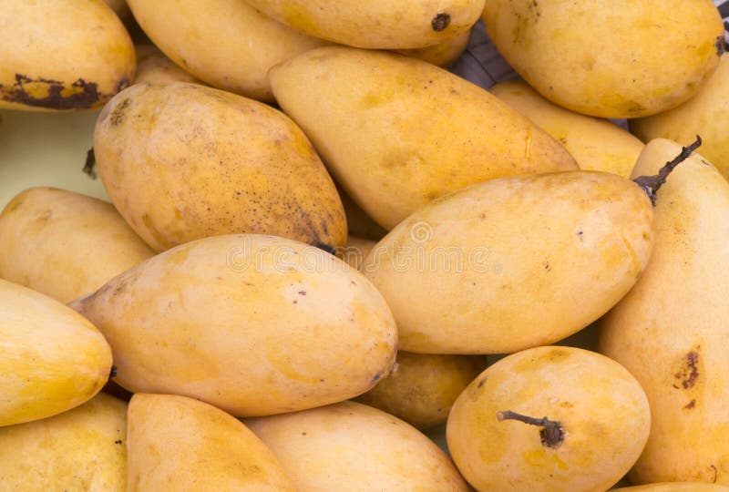 Mango fresco foto de archivo. Imagen de fresco, agricultura - 94114334