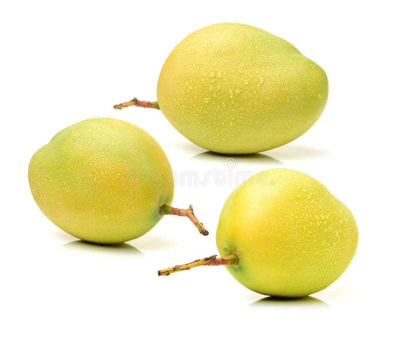 Mango fresco imagen de archivo. Imagen de blanco, dieta - 136219727