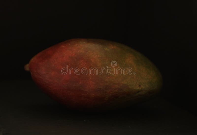 Mango stock image. Image of concept, food, healthy, kitchen - 98043901