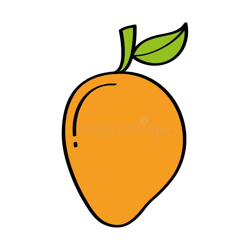 Mango Fresh Fruit Drawing Icon Stock Vector - Illustration of food ...