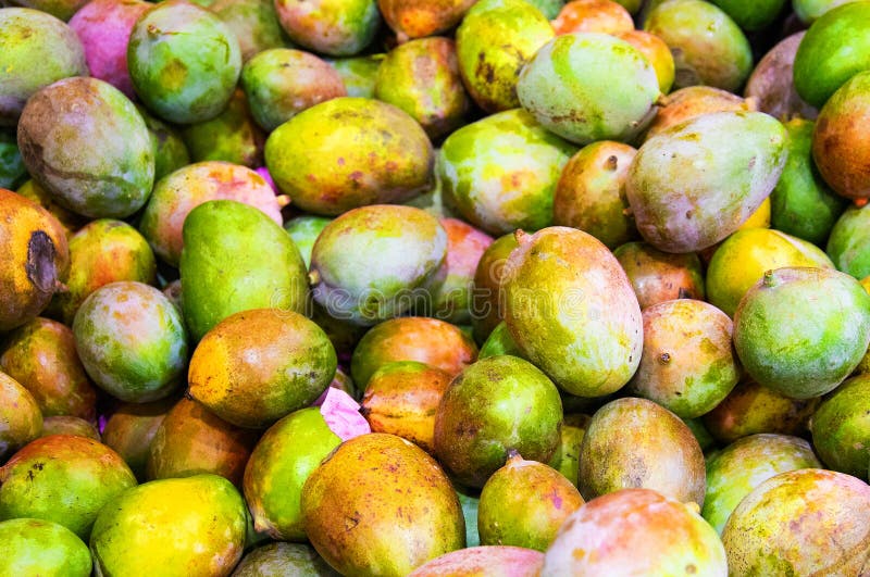 Mango, Fresh Fruit at an Open-air Farmers Market in Cairo, Egypt Stock ...
