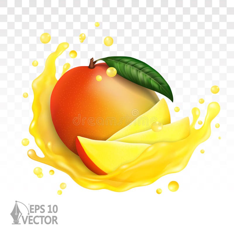 Mango Fresh Fruit and Slices with Splash, Realistic Mango Juice ...