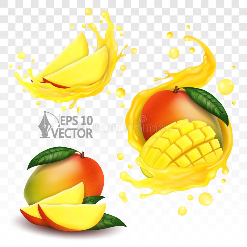 Mango Fresh Fruit and Slices with Splash, Realistic Mango Juice ...