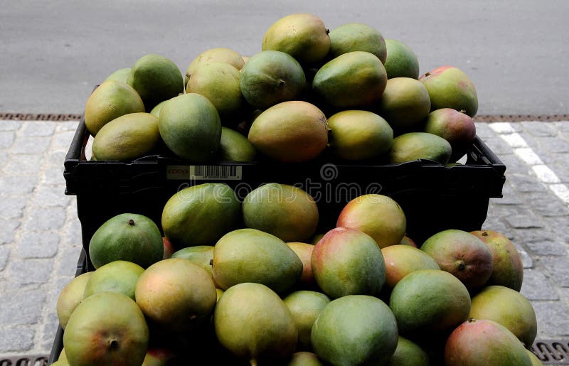 MANGO-FRUCHT VON PERU redaktionelles stockfotografie. Bild von frucht ...
