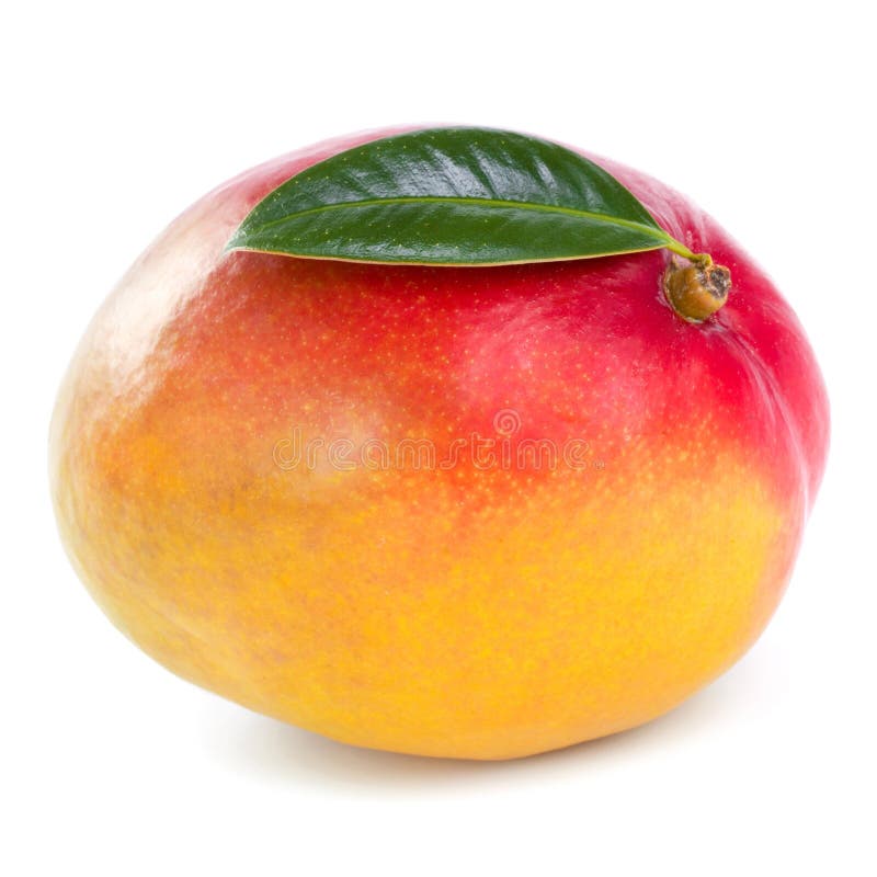 Mango stock photo. Image of healthy, tropical, single - 56594686