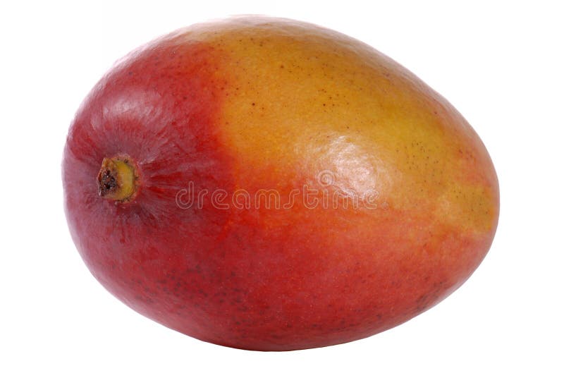 Mango stock photo. Image of mango, green, healthy, isolated - 14383646