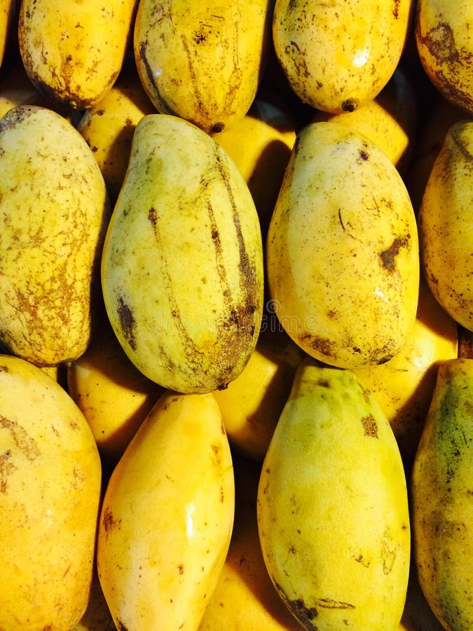 Mango fruit stock image. Image of produce, fruits, mango - 62835541