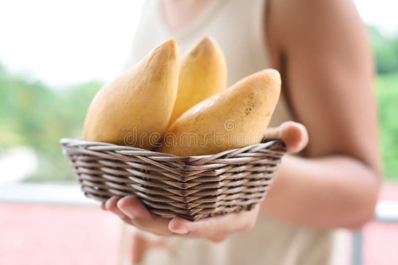 Mango Fruit in Basket in Hand Stock Image - Image of nutrition, sweet ...