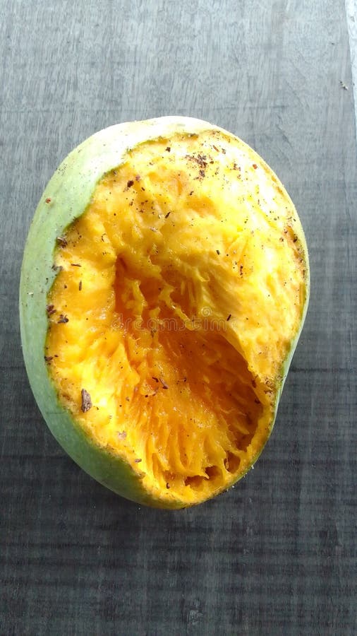Mango Fruit from Being Bitten by a Squirrel Stock Photo - Image of ...
