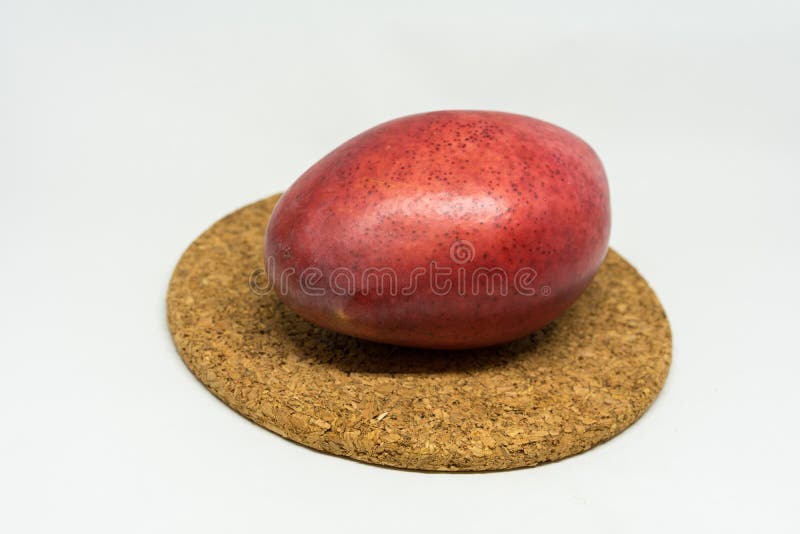 Whole in White Wall with Metal Fence Stock Image - Image of detail ...