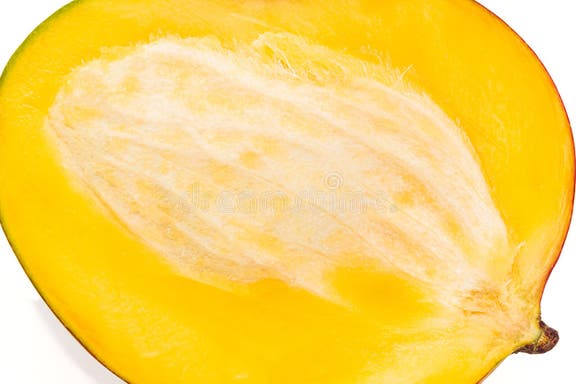 135 Mango Pit Stock Photos - Free & Royalty-Free Stock Photos from ...