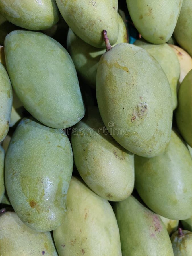 Mango Fruit Food Vegetables Natural Green Stock Image - Image of green ...