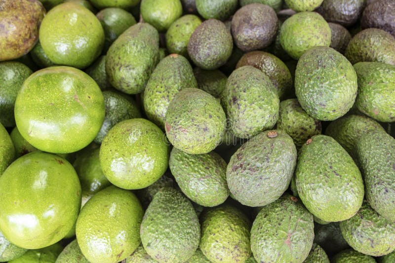 1,349 Doi Fruit Stock Photos - Free & Royalty-Free Stock Photos from ...