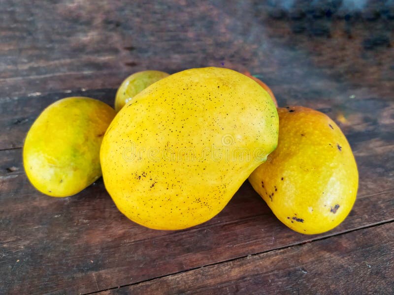 Mango Fruit Good for Health Stock Photo - Image of berry, gourd: 181251164