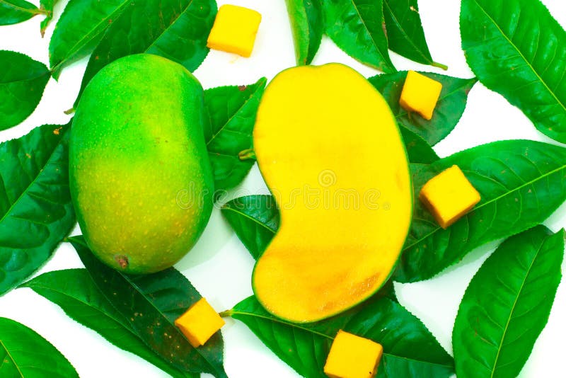 Mango Fruit with Green Leaves Stock Photo - Image of organic, mangoes ...