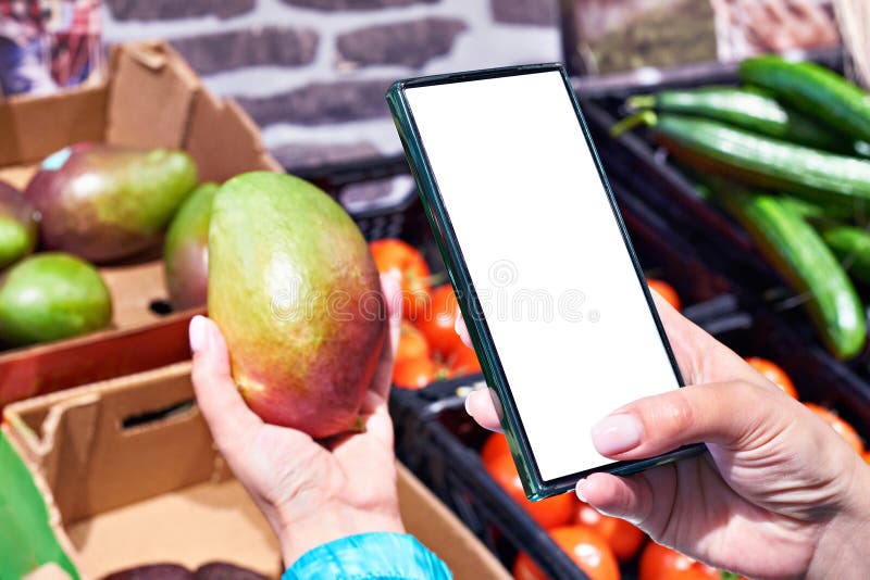 Mango Fruit in Hand and Smartphone White Stock Photo - Image of concept ...