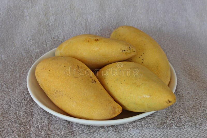 Mango is the Fruit that Has Sour. Stock Photo - Image of plant, sell ...