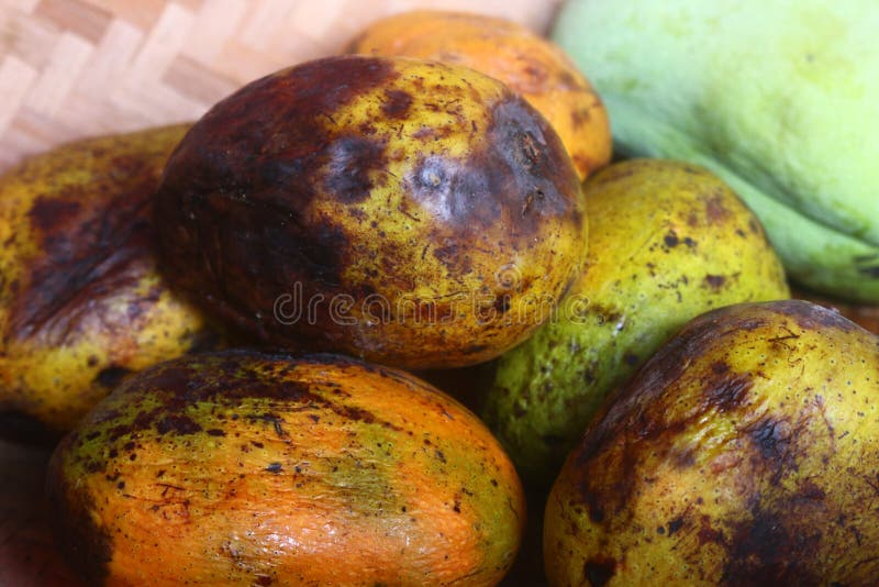 162 Rot Mango Fruit Stock Photos - Free & Royalty-Free Stock Photos ...