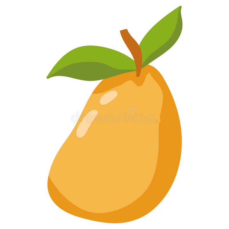 Mango fruit icon stock vector. Illustration of isolated - 272029133