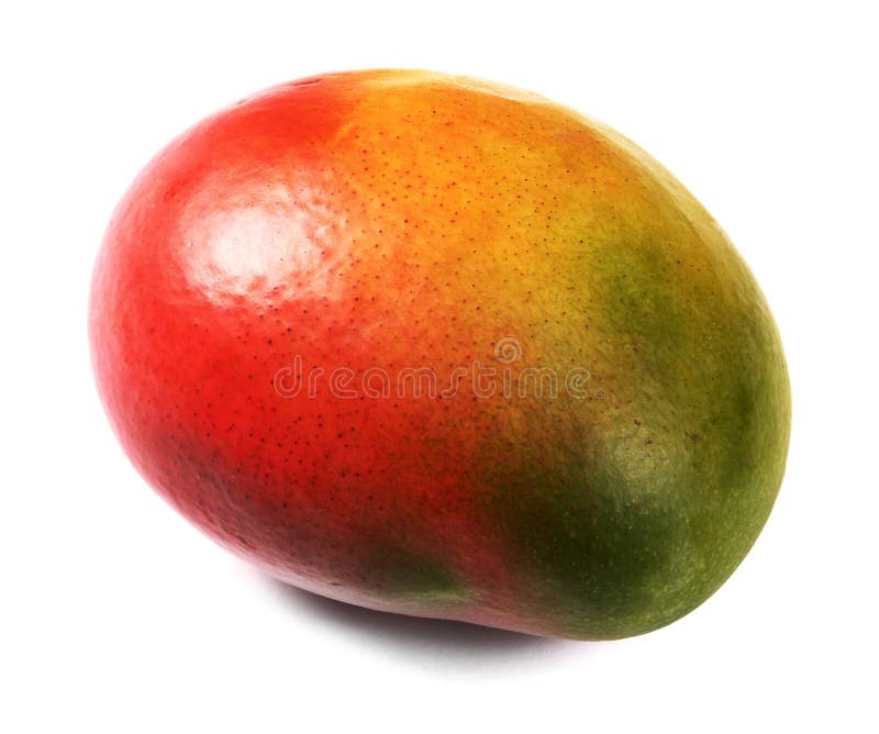 Mango fruit isolated stock photo. Image of ingredients - 7093192