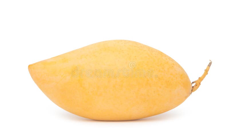 Mango Fruit Isolated on White Stock Image - Image of healthy ...