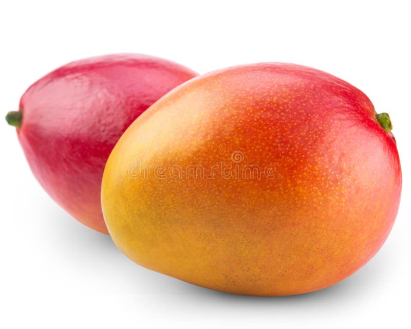 Plant Disease, Mango Fruit Rot Stock Photo - Image of post, dirty ...