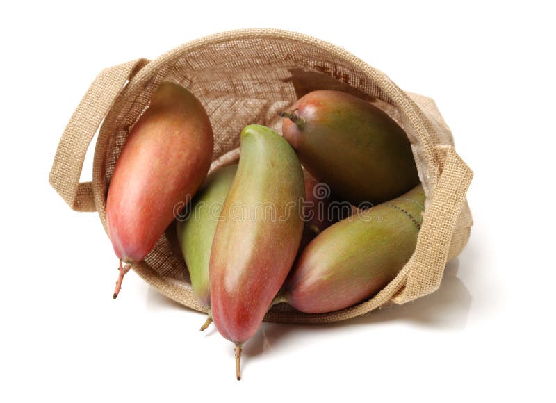 105 Ivory Mango Stock Photos - Free & Royalty-Free Stock Photos from ...