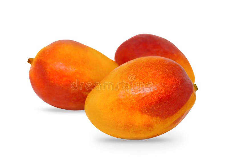 Mango Fruit Isolated on White Background. Fresh Mangoes Whole and Half ...