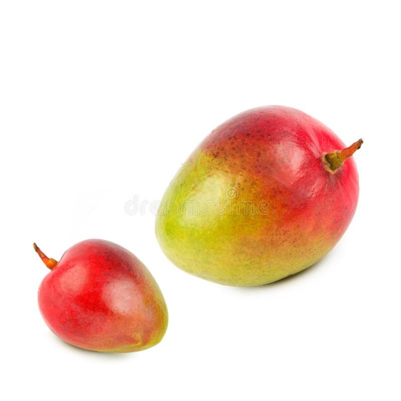 Collage with Mango Smoothie on Different Color Backgrounds. Banner ...