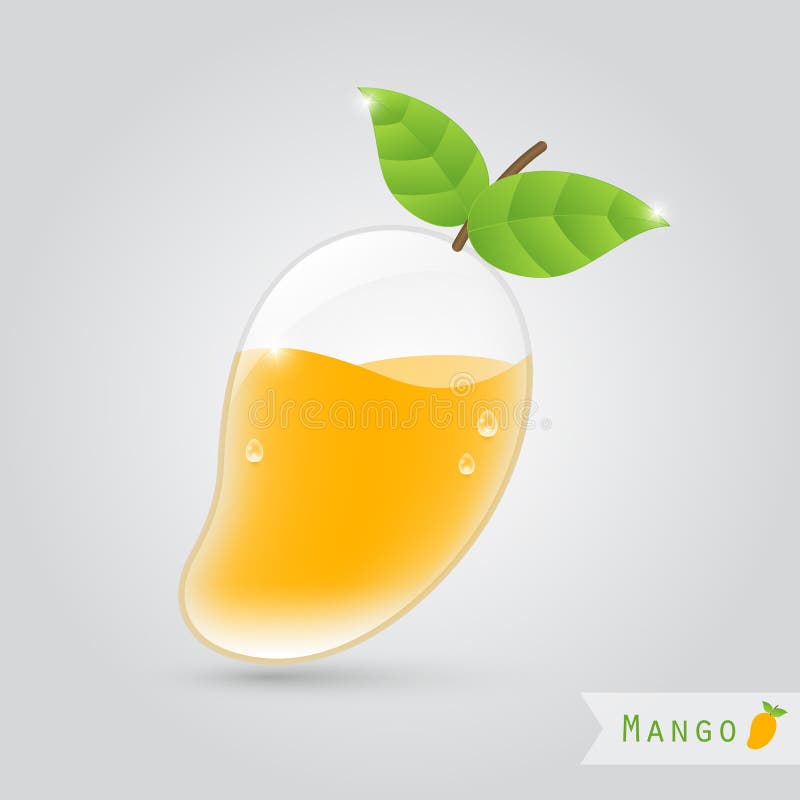 Vector Juicy Mango Slices Falling into the Fresh Juice Stock Vector ...