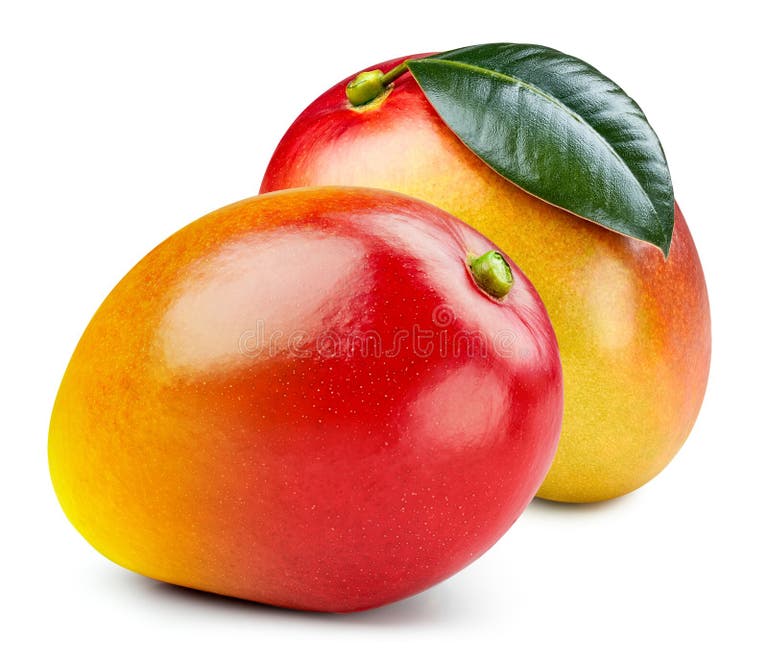 Mango Fruit with Mango Leaf Isolated Stock Image - Image of yellow ...