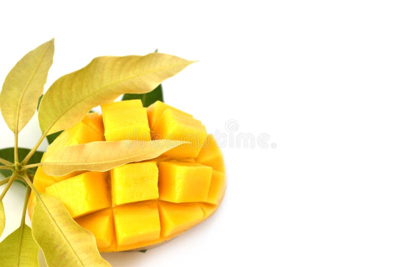Mango Fruit with Leaf Isolated White Background. Stock Image - Image of ...