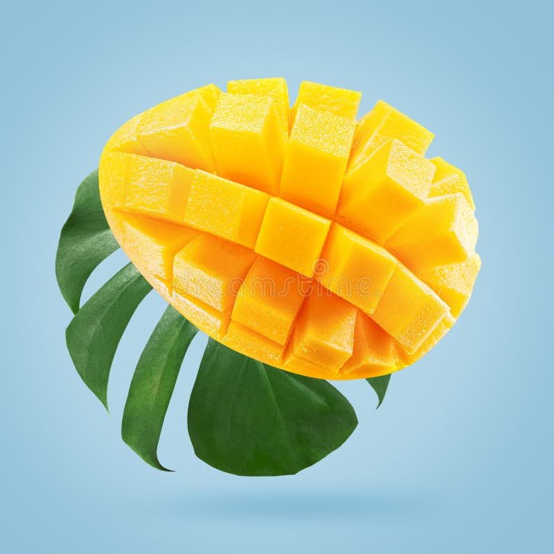 Mango Fruit with Leaf on a Light Blue Background Stock Illustration ...
