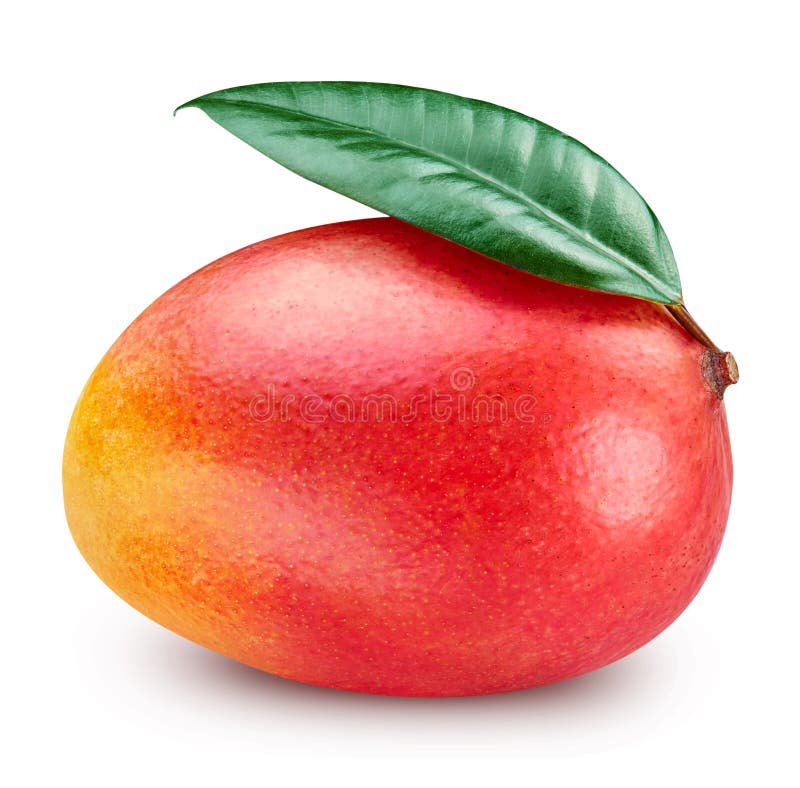 Mango leaf stock image. Image of healthy, background - 116833661