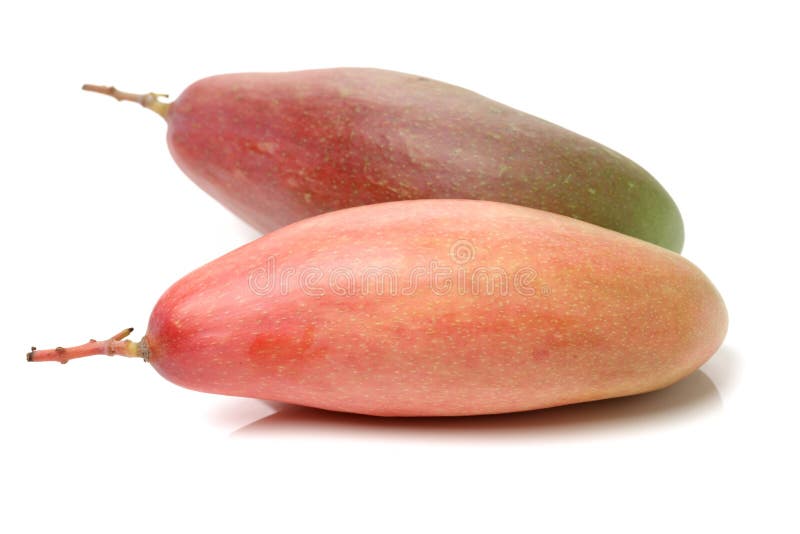 105 Ivory Mango Stock Photos - Free & Royalty-Free Stock Photos from ...