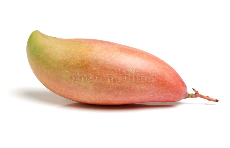 105 Ivory Mango Stock Photos - Free & Royalty-Free Stock Photos from ...