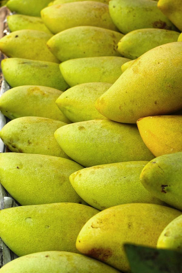 Mango fruit in the market. stock photo. Image of fruit - 35263076