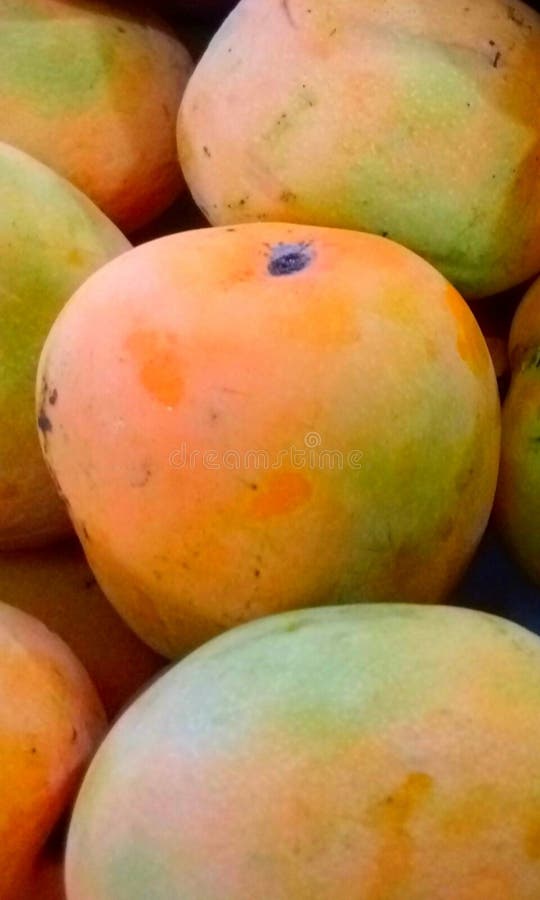 Mango is a Fruit that Originates from Southeast Asia and India. Mango ...