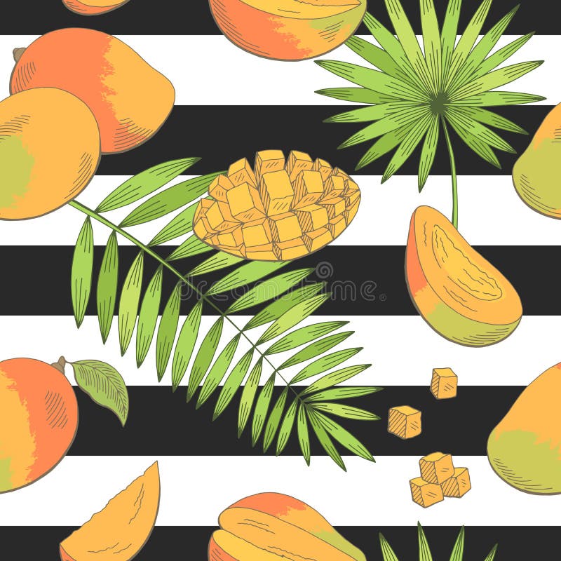 Mango Graphic stock vector. Illustration of mangoes, graphic - 37381423