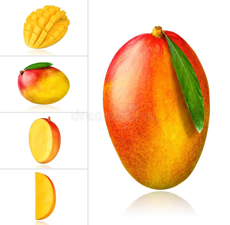 801 Mango Fruit Collage Stock Photos - Free & Royalty-Free Stock Photos ...