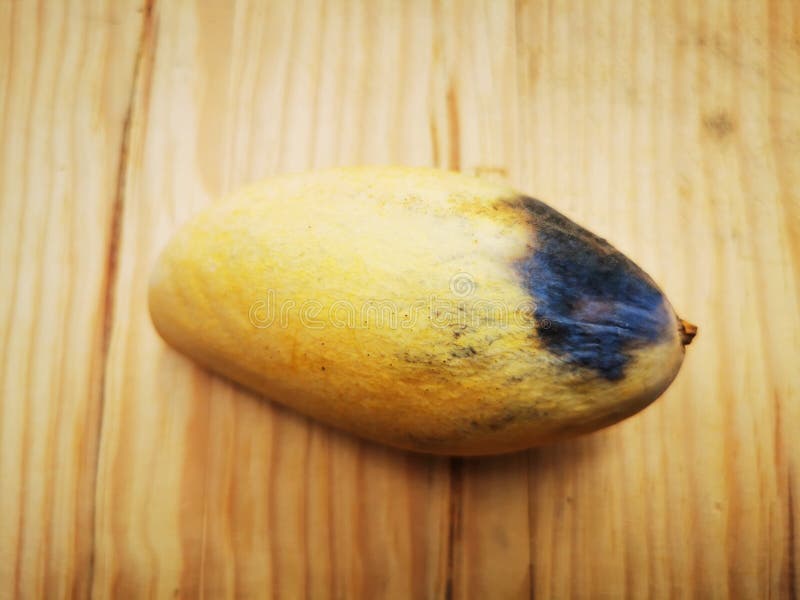Mango fruit disease stock image. Image of damage, black - 89134147