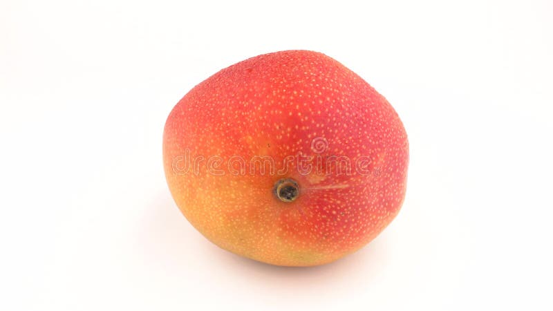 Mango Fruit Rotating on Turn Table. Isolated on White Background ...