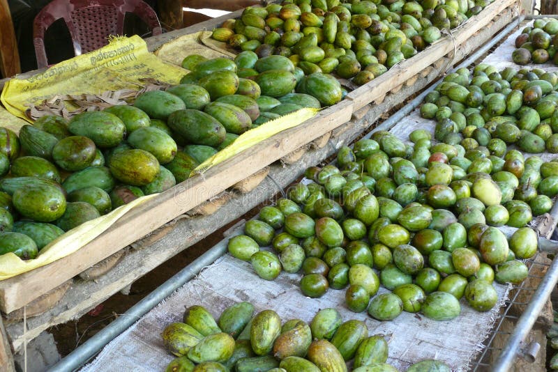 Mango Fruit shop stock image. Image of plant, mangos - 52038851