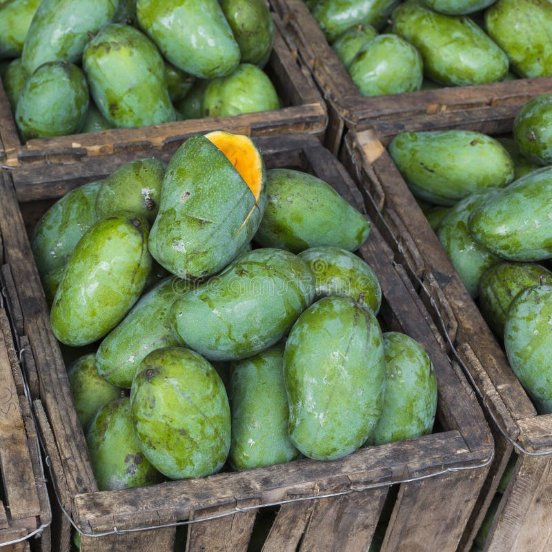 Mango Fruit Shop in Sri Lanka Stock Image - Image of organic, asian ...